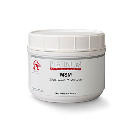 MSM for Horses | MSM Horse Supplement | Equine Joint Vitamins
