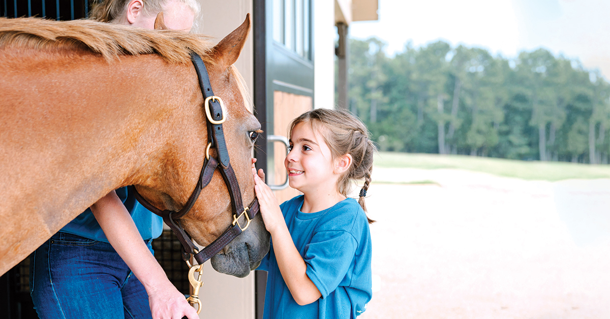 The Horses of Storybook Farm
