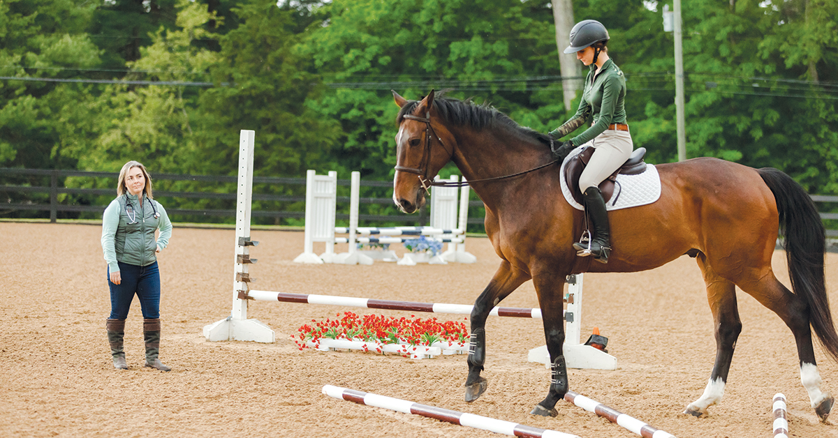 Core Fitness for Horses’ Performance