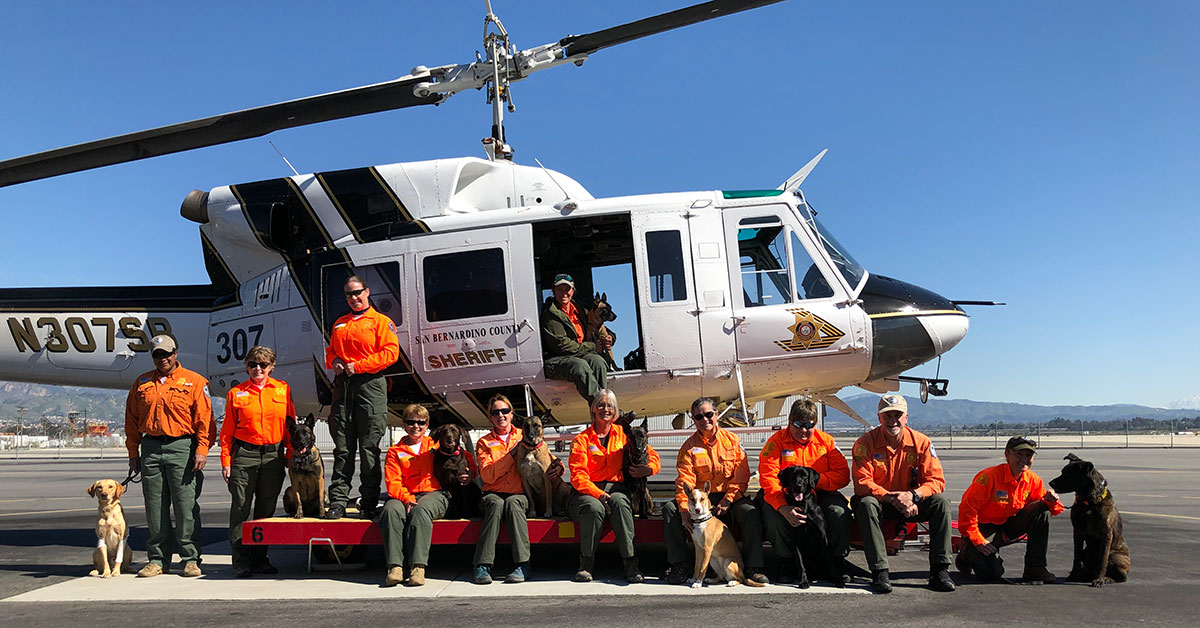 Search and Rescue Dogs
