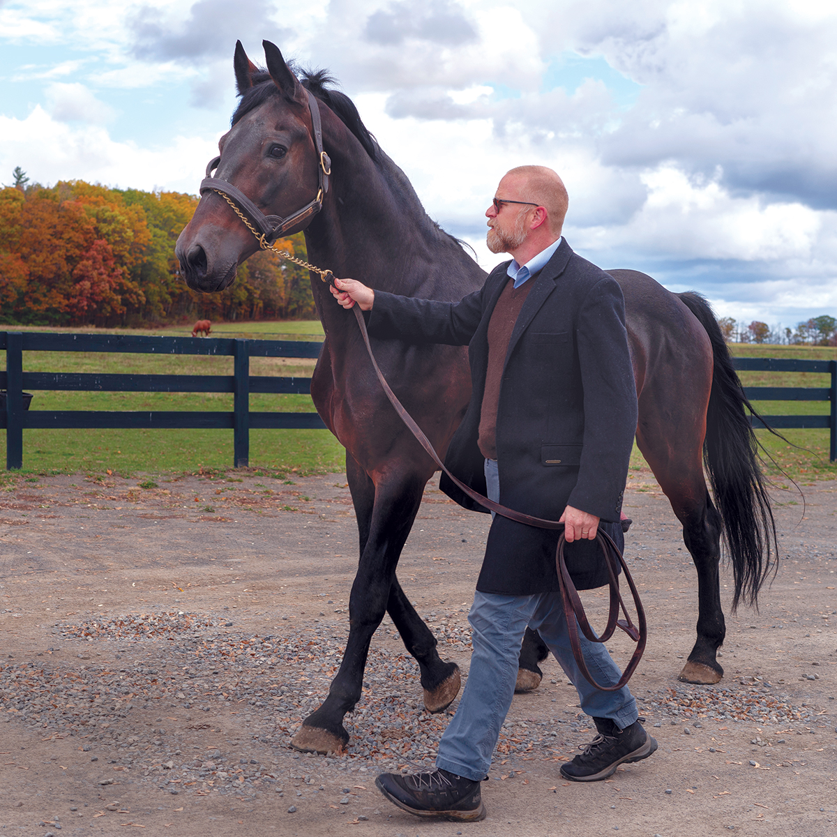 Equine Reproduction Progress