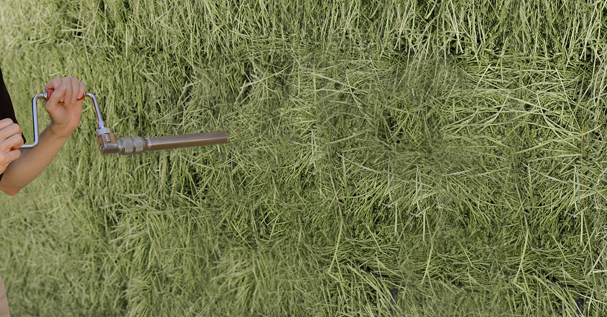 Understanding a Hay Analysis for Horses