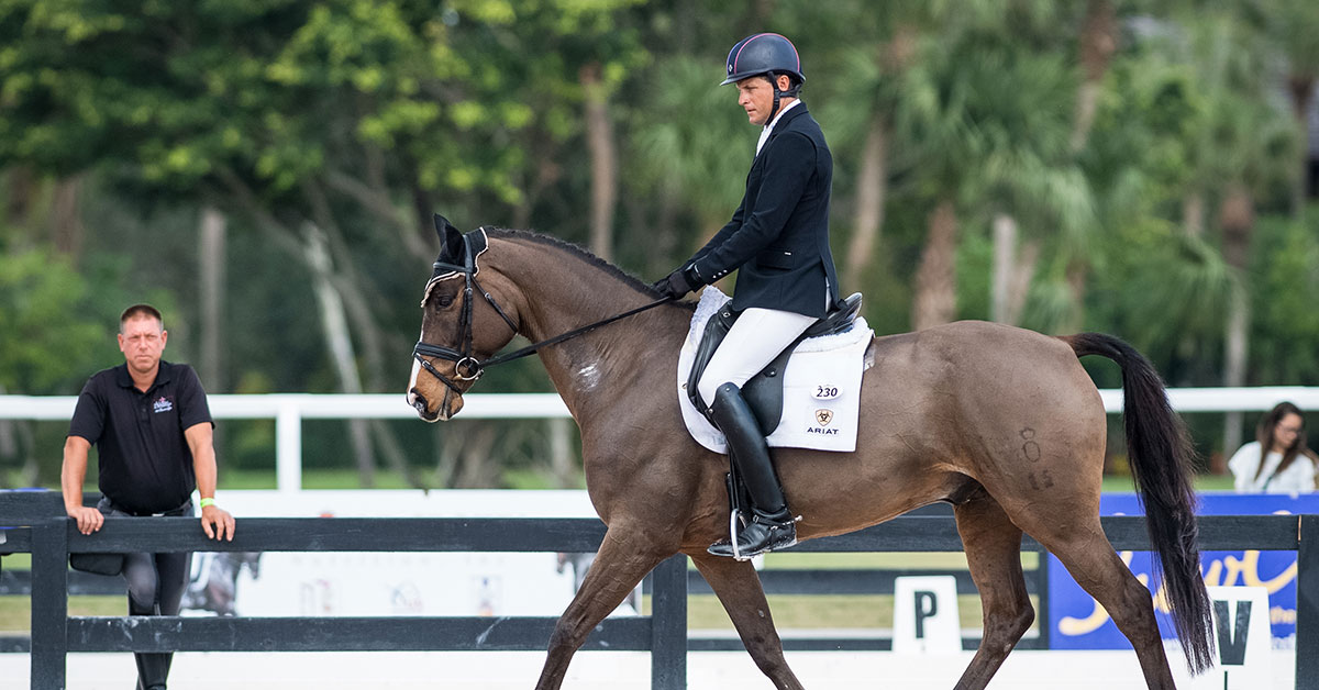 Dressage Training: A Foundation Helpful for All Disciplines