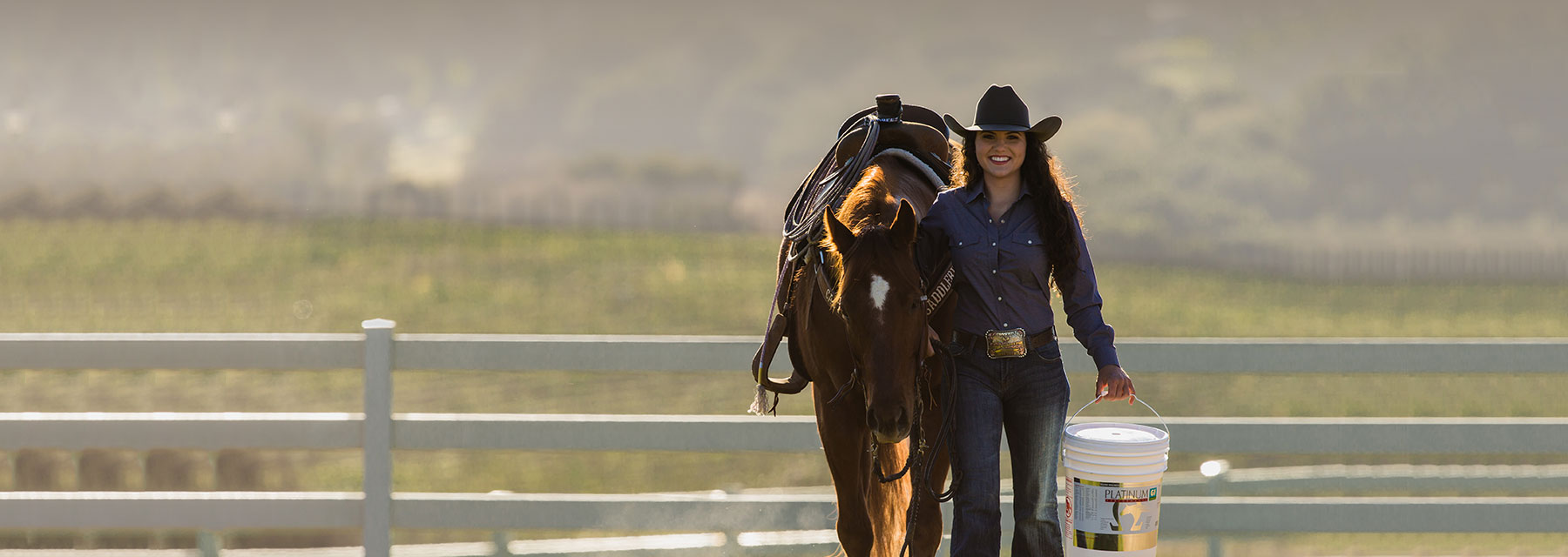 Horses Wellness - Foundations - Feature Story - Platinum Performance GI